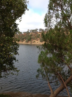 Lake Natoma trail run