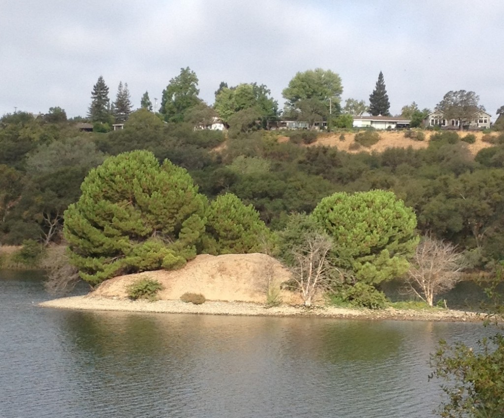 Lake Natoma trail run