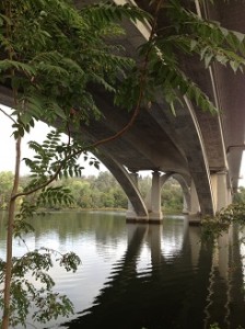 Lake Natoma trail run