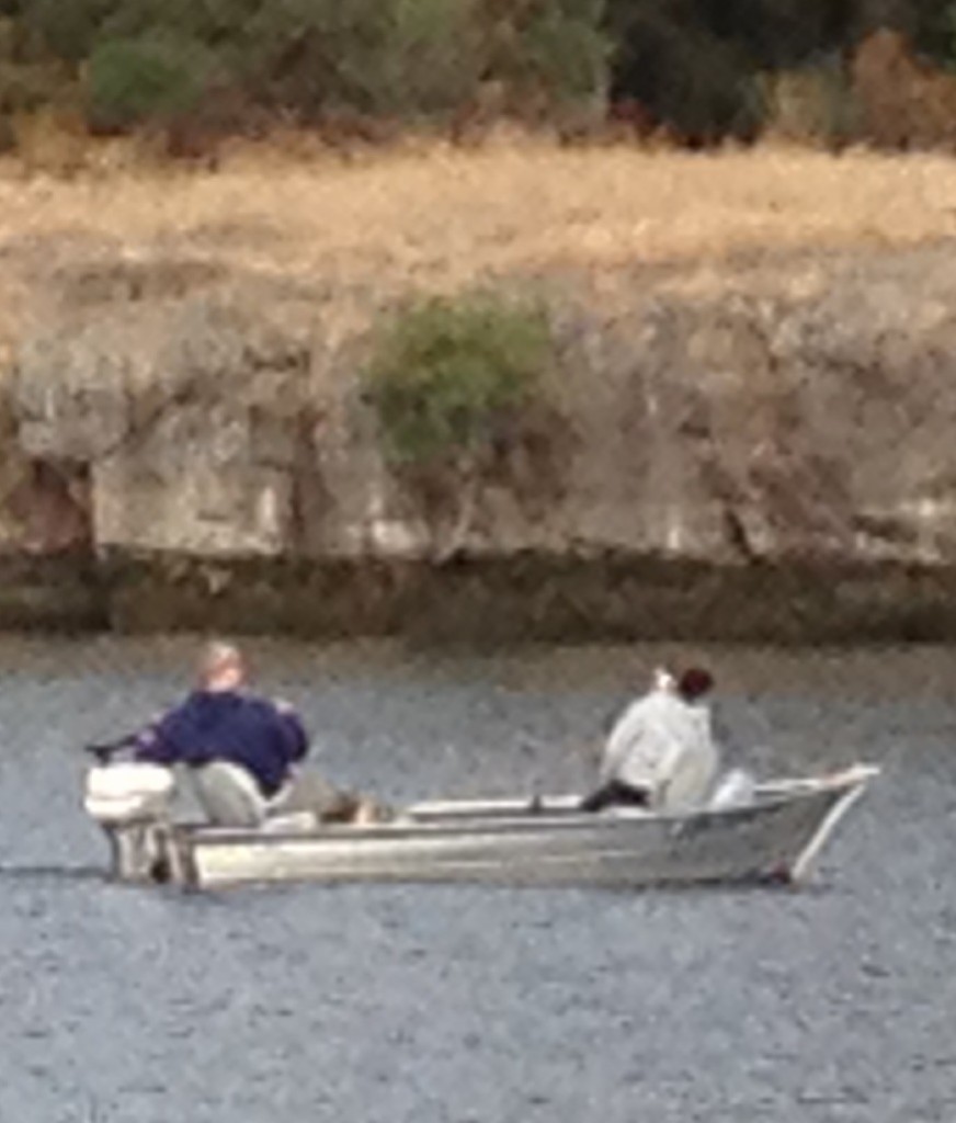 Lake Natoma trail run