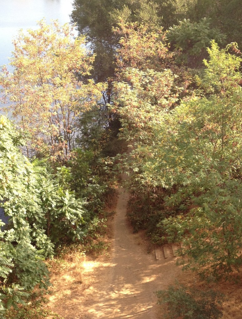 Lake Natoma trail run