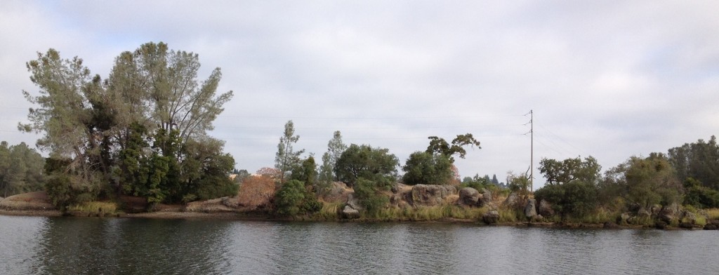 Lake Natoma trail run