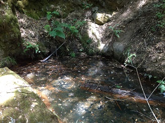 Humbug Trail Waterfalls and Tunnels