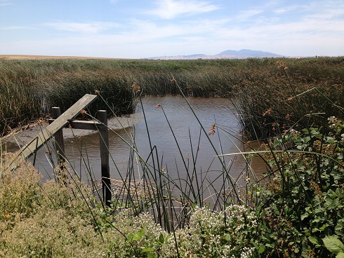 Trails to Rails: Rush Ranch and Western Railway Museum