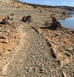 Hiking along the Negro Hill Ditch at Folsom Lake in El Dorado County